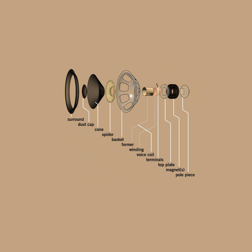 Loudspeaker Basics – Chane Music Cinema